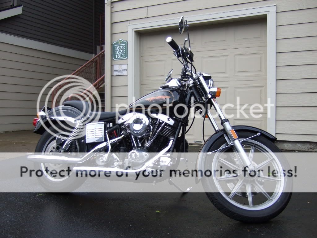 Late or early 1984 FXRS? | V-Twin Forum