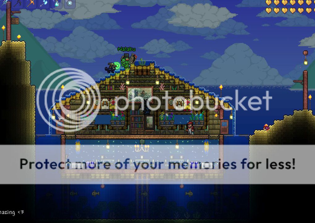 Terrarium, Underwater and Water house on Pinterest