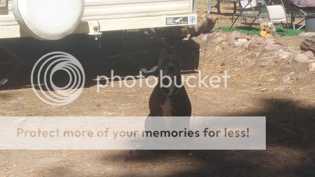 Colcord Ridge Campground | Tommycat's RV Adventures