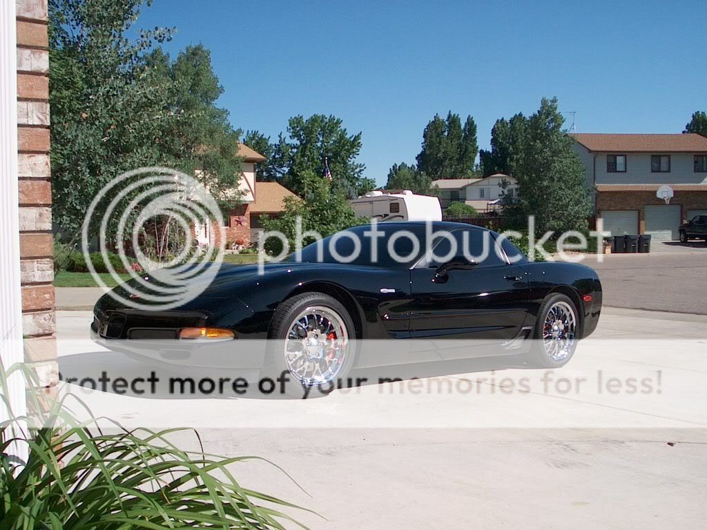 2004 custom ZO6 - CorvetteForum - Chevrolet Corvette Forum Discussion