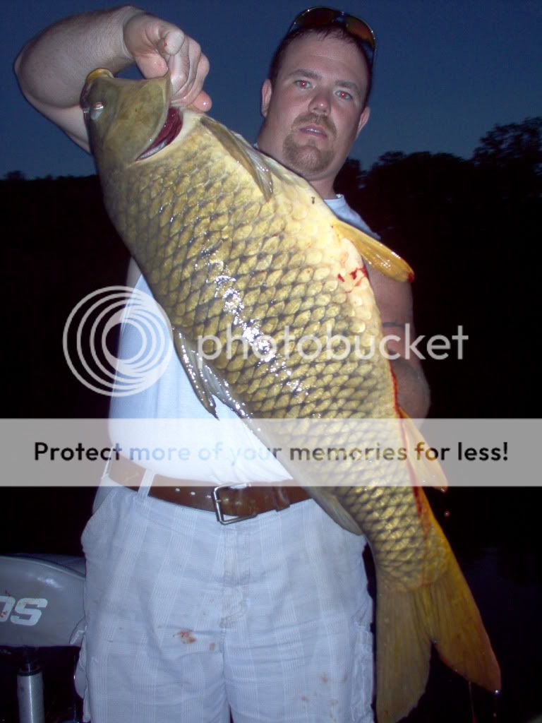 Big Scaled Carp?? What kind is this?? | Archery Talk Forum