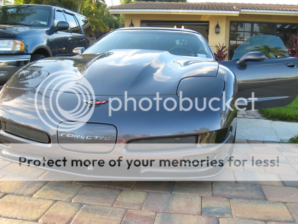 F/s 1998 Medium Purple Pearl C5 - CorvetteForum - Chevrolet Corvette ...